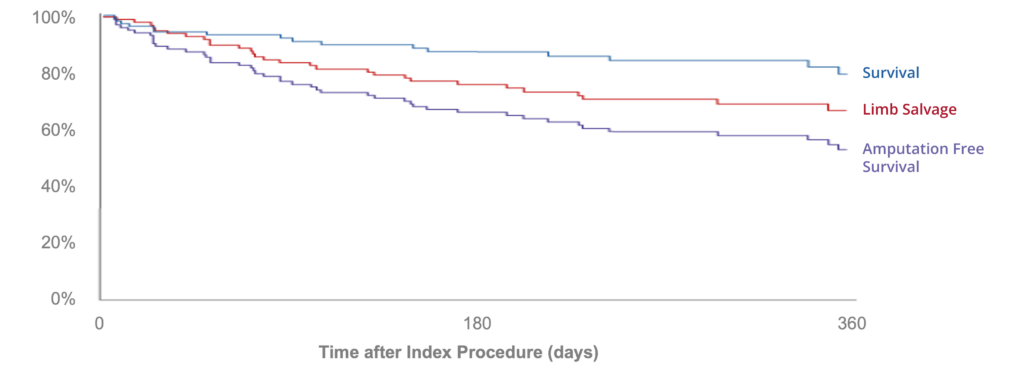 Promise II Study Results - LimFlow