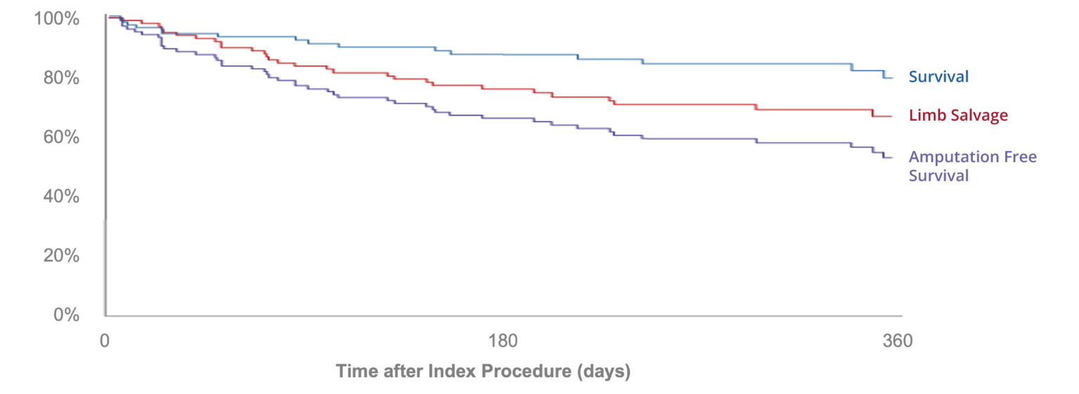 Promise II Study Results - LimFlow