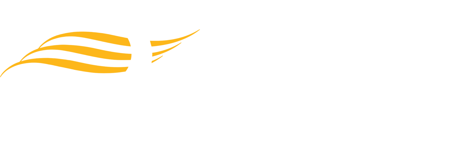 LimFlow — A Fully Percutaneous Procedure - LimFlow